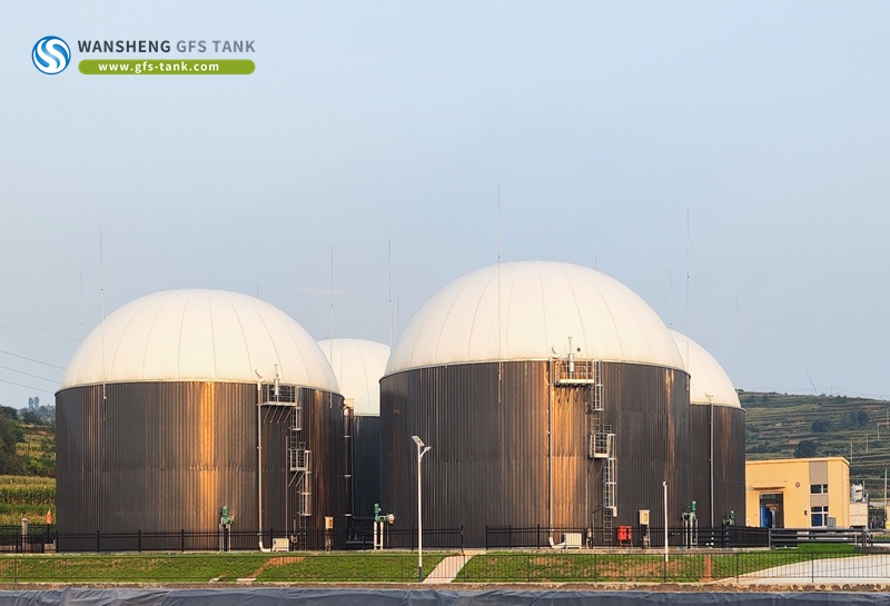 Biogas Storage Tank